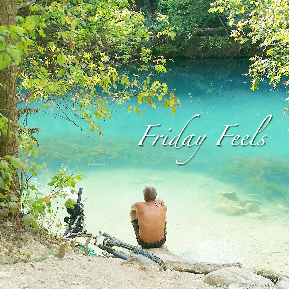 Friday Feels - Curious Notions